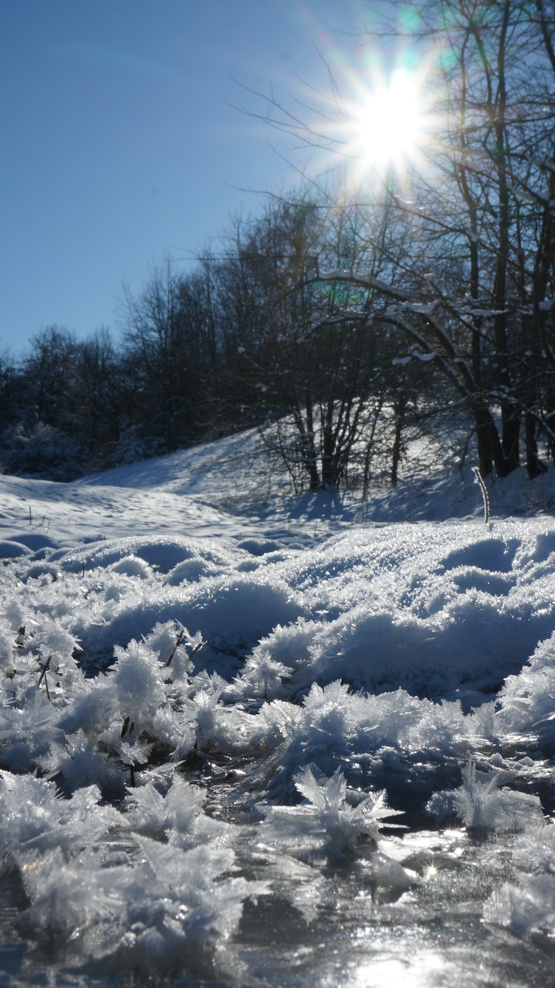 bach-ohne-lauf – leise und laut