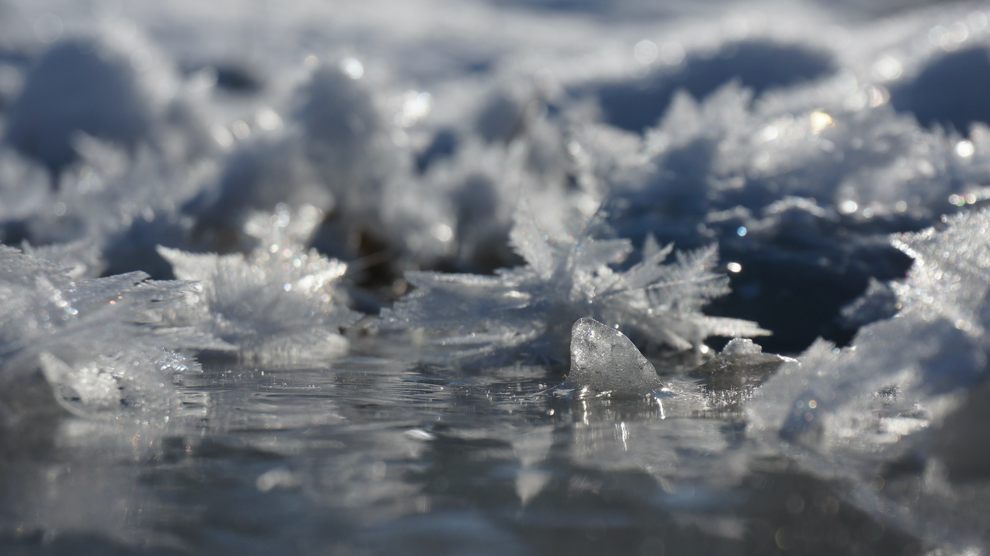 eishai – leise und laut